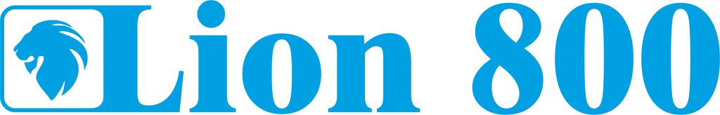 Lion 800 | UNIK YACHTS